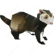 Ferret - Pet Series - Animals - Paper Craft - Canon Creative Park