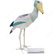 Shoebill - Flying Animals - Animals - Paper Craft - Canon Creative Park
