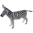 Zebra - Beginner Series - Animals - Paper Craft - Canon Creative Park