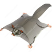 Sugar Glider - Pet Series - Animals - Paper Craft - Canon Creative Park