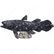 Coelacanth - Marine Animals - Animals - Paper Craft - Canon Creative Park