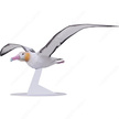Albatross - Flying Animals - Animals - Paper Craft - Canon Creative Park