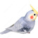 Cockatiel - Pet Series - Animals - Paper Craft - Canon Creative Park