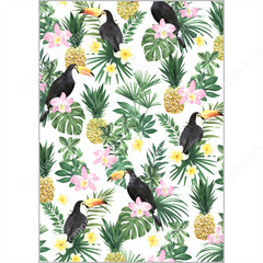 Pattern Paper (Tropical / Toco Toucan) - Pattern Papers - Home and ...