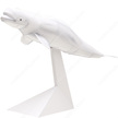Beluga Whale - Marine Animals - Realistic Crafts/Animals - Paper Craft ...