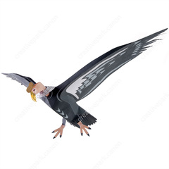 Condor - Animals - Latin flavor. - Paper Craft - Canon Creative Park
