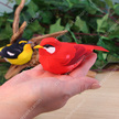 Colorful Bird (Red Warbler) - Pet Series - Animals - Paper Craft ...