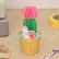 Mini cactus set - Ornamental Plant - Plants - Home and Living - Canon ...