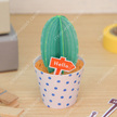 Mini cactus set - Ornamental Plant - Plants - Home and Living - Canon ...