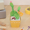Mini cactus set - Ornamental Plant - Plants - Home and Living - Canon ...