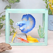 Betta (Freshwater fish) - Paper Aquarium - Animals - Paper Craft ...