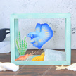 Betta (Freshwater fish) - Paper Aquarium - Animals - Paper Craft ...