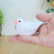 Birdcage set (Java sparrow) - Pet Series - Animals - Paper Craft ...