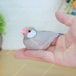 Birdcage set (Java sparrow) - Pet Series - Animals - Paper Craft ...
